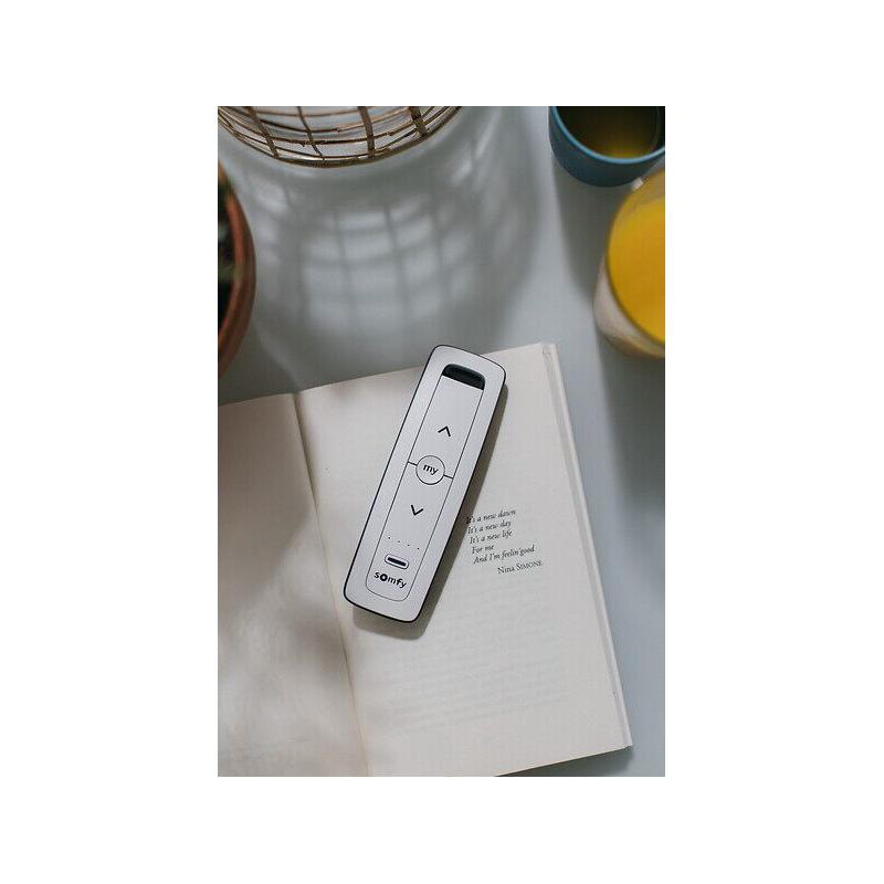 Pilot Somfy Situo 5 RTS Pure II